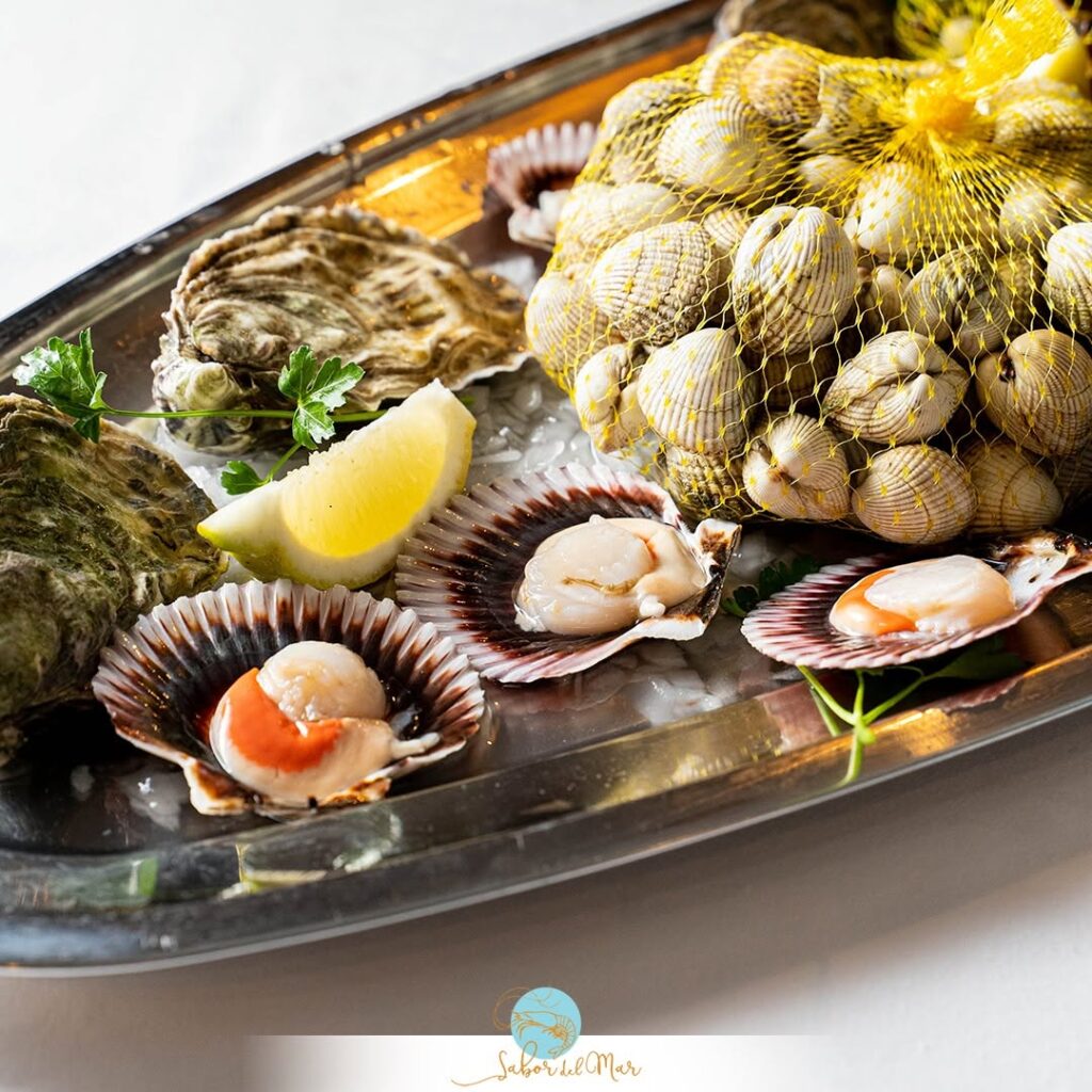 Mejores marisquerías de Valencia donde comer marisco